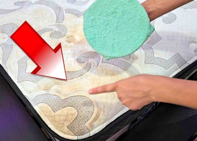 10 reguli de aur pentru a nu irosi apa acasă